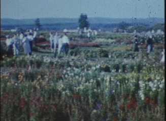 The Ryan Battle Collection, no. 4 - Scenes of Summer