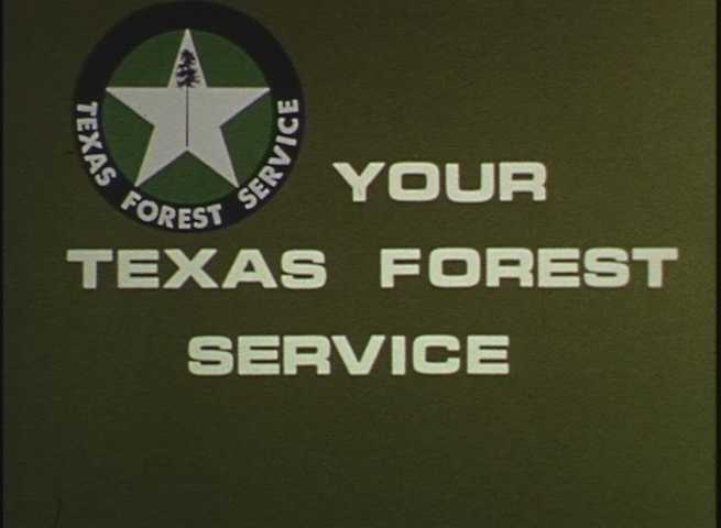 Your Texas Forest Service