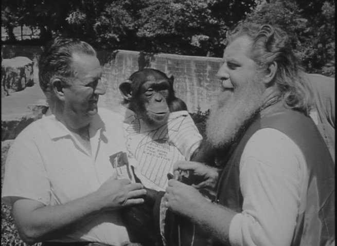 Outtakes of The Uncle Jay Show at San Antonio Zoo