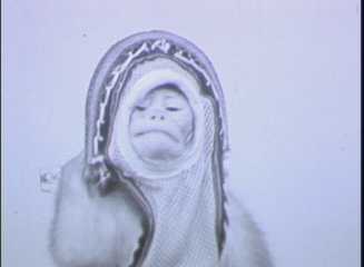 first monkey in space albert