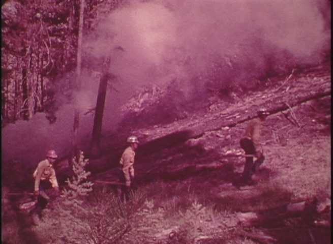 Hand Tools for Wildfire