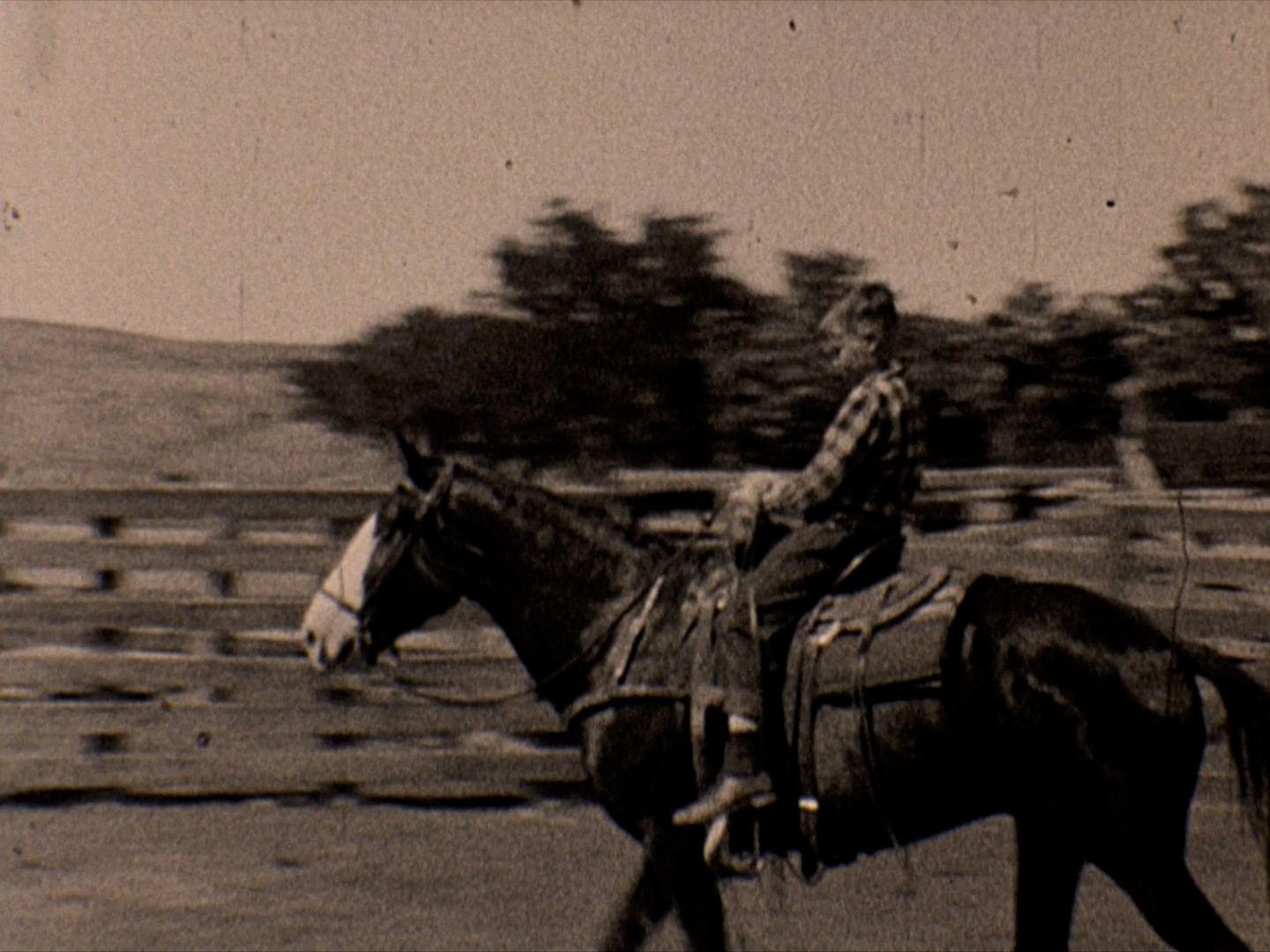 On the Ranch (1939) - Talmadge D. Thomas Sr. Collection
