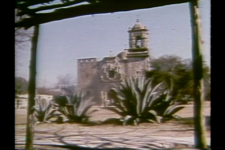 The Eyes of Texas, no. 119, June 6, 1981