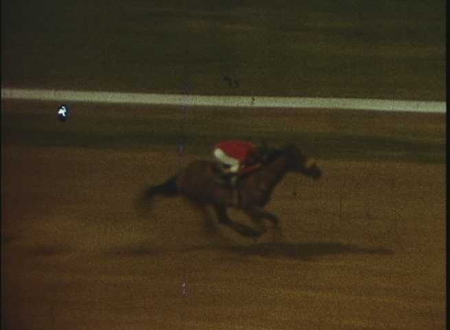 Horse Races - Stroud Family Films