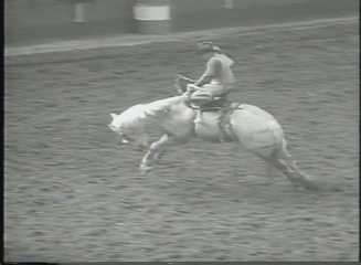 34th Annual Houston Rodeo