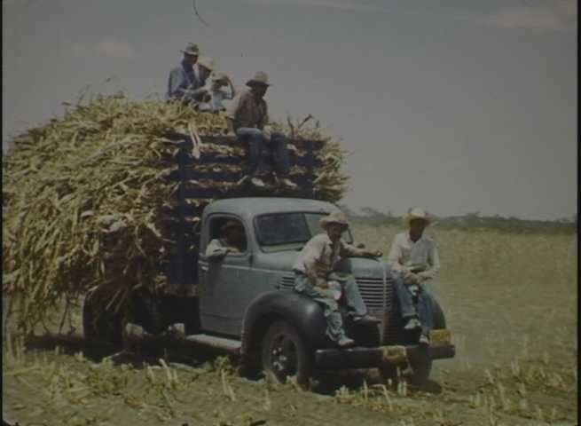 T-Half Circle Ranch - Edwin S. Mayer Collection