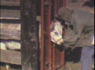 Life on the Ranch - Ludeke Family Collection