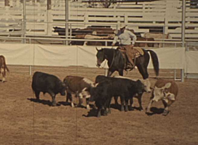 Cutting Contest (1973) - National Cutting Horse Association Collection