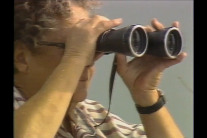 The Eyes of Texas no. 141, January 30, 1982