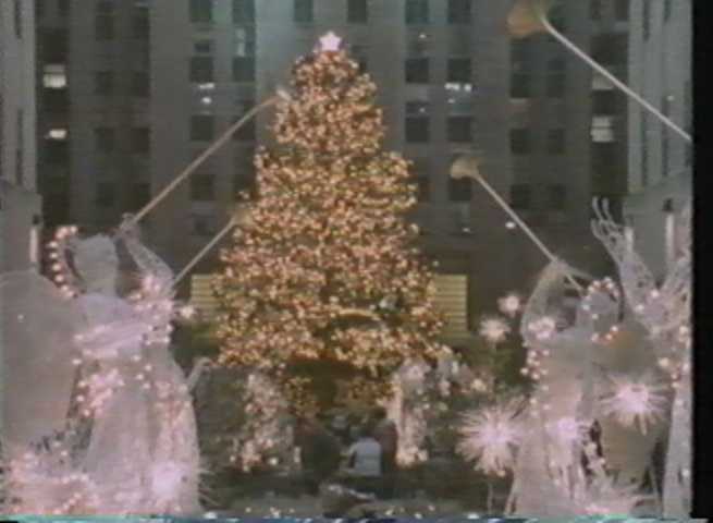 Messenger of Life: The Story of the Real Christmas Tree