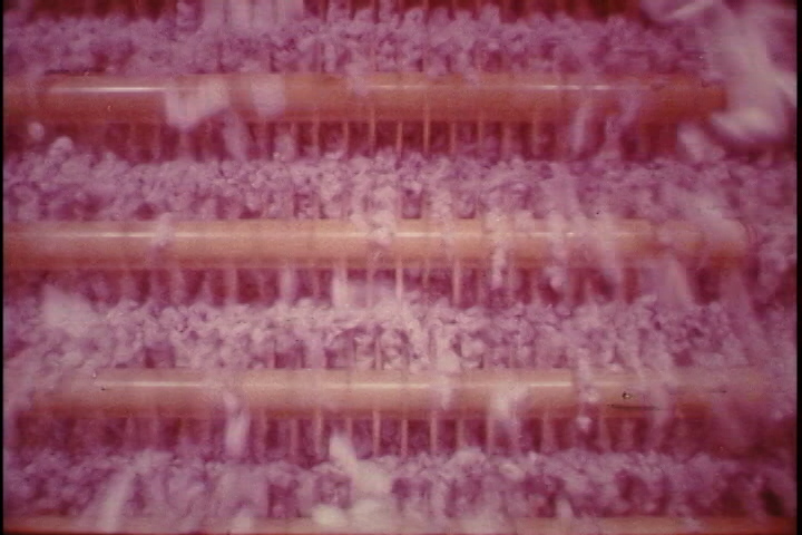 Cotton Module Feeder - KCTV News Collection