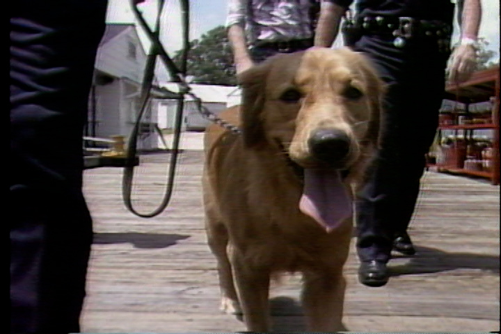 Detection Dogs (1983) - Tyrrell Historical Library Collection