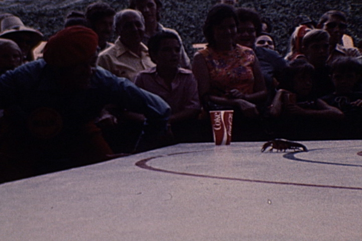 Texas Folklife Festival - Crawfish Race