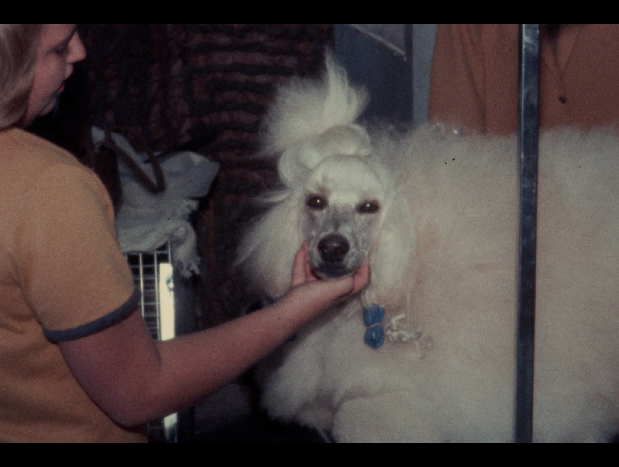 KFDX News Clips, October 22-29, 1968 - Wayne Reed Collection