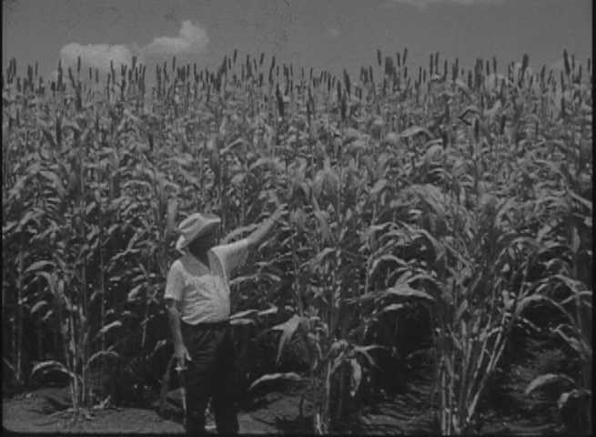 Texas Prison System Farms (1956)