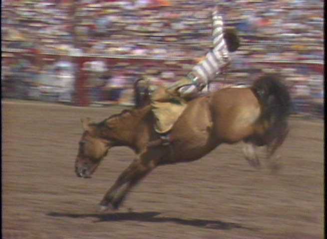 The Tyrrell Historical Library Collection - Texas Prison Rodeo (1979)