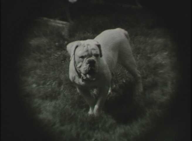 The Horak Family Collection, no. 6 - Home Movie Compilation